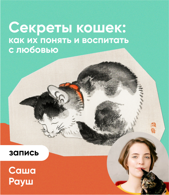 Курсы и лекции издательской группы «Альпина» | Лекторий